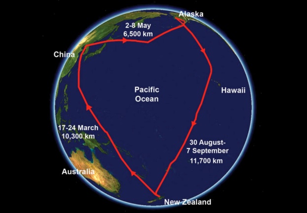 "Leaguies" leading from the front - E Tū Whānau